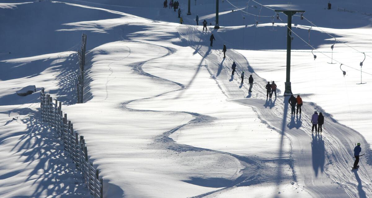 Plan Your Day | Mt Dobson Ski field Ski Field Area in Fairlie